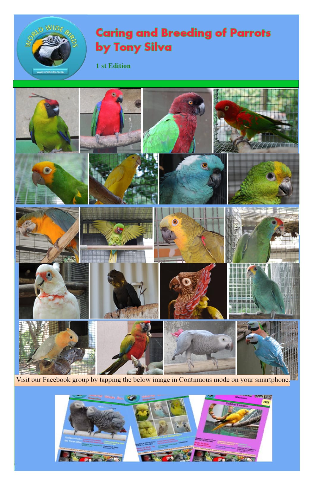 Parrot feeding in breeding and non-breeding season